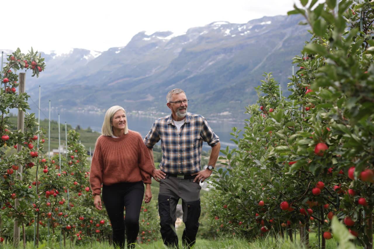 Cider farms - Taste Hardanger
