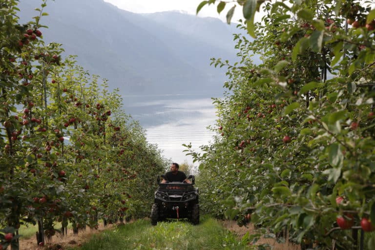 Cider farms - Taste Hardanger