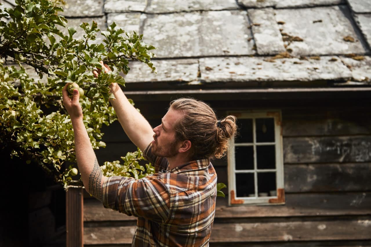 Cider farms - Taste Hardanger