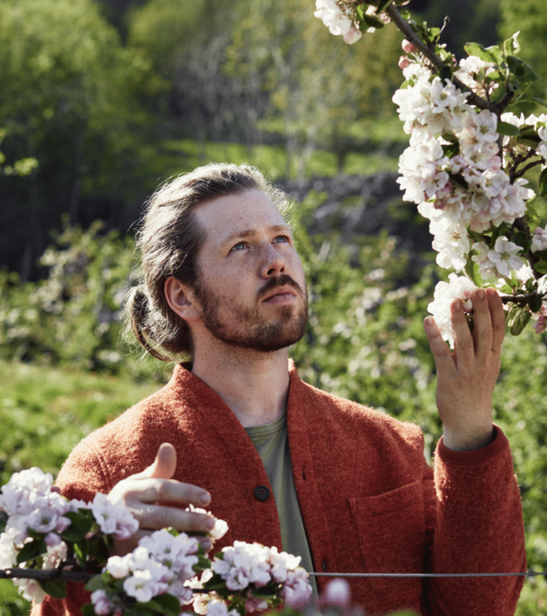 Cider farms - Taste Hardanger