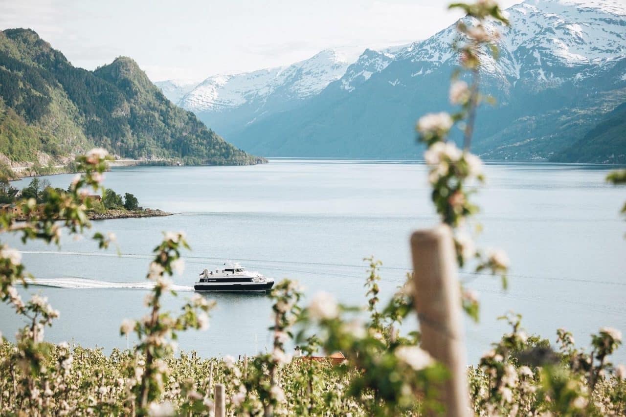 Cider farms - Taste Hardanger