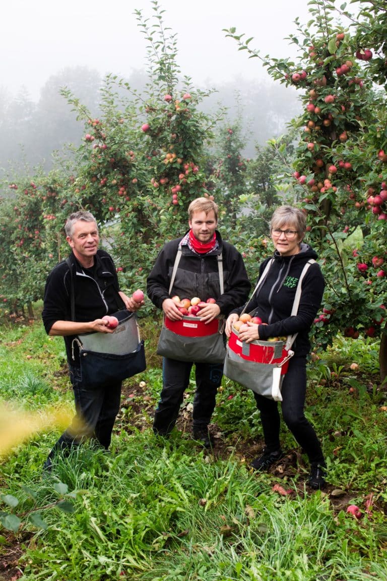 Cider farms - Taste Hardanger