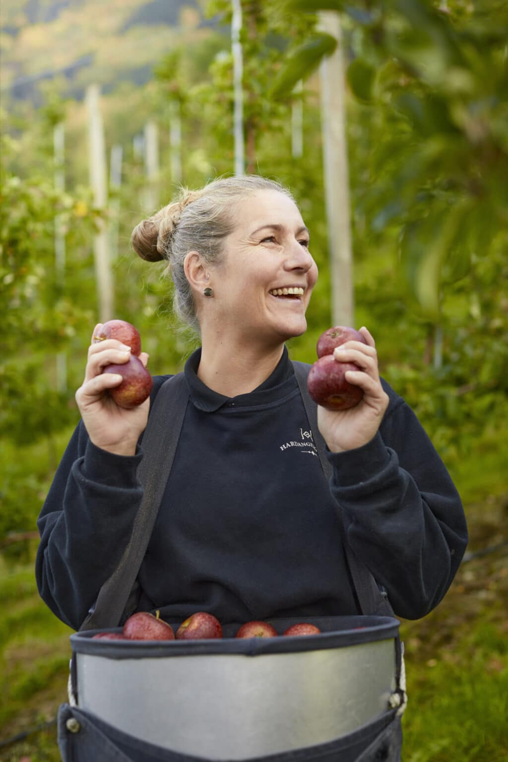 Cider farms - Taste Hardanger
