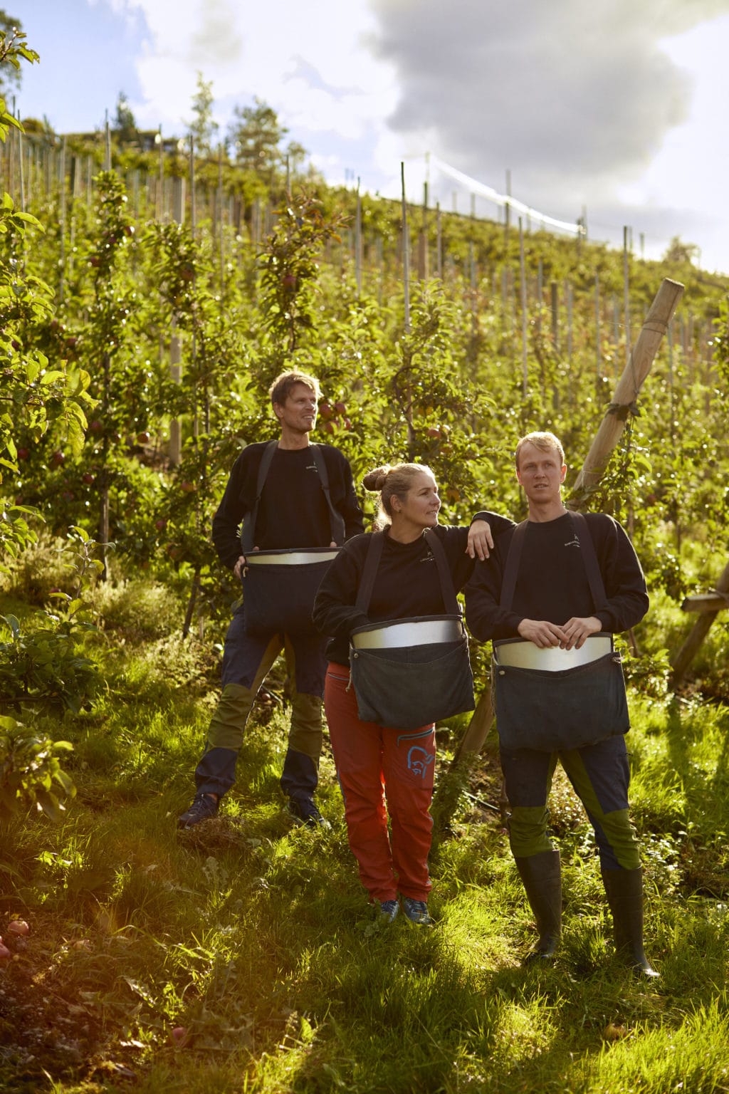Cider farms - Taste Hardanger