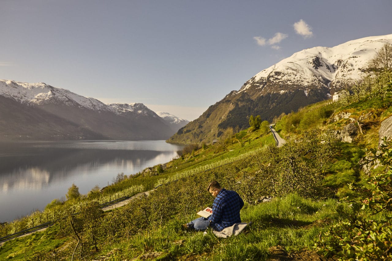Cider farms - Taste Hardanger