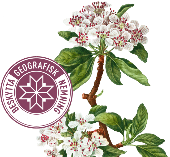 Om sider frå Hardanger - Taste Hardanger